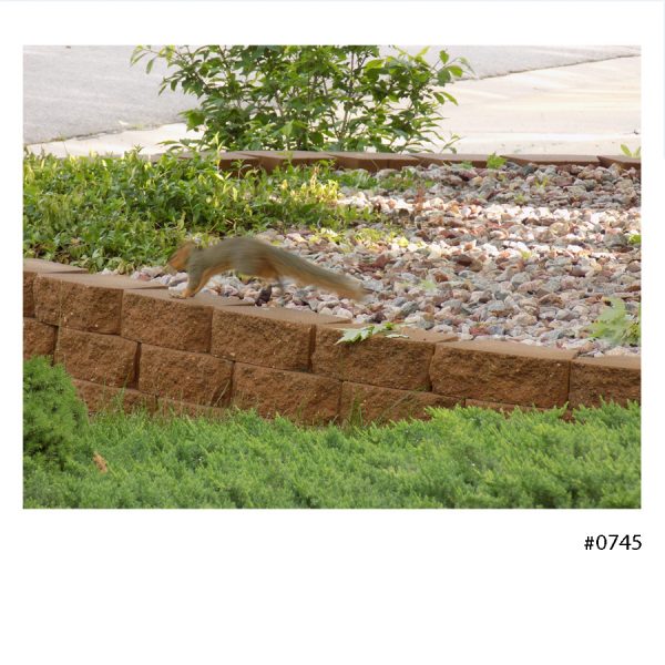 Motion vs Action Motivation Poster - LKArts